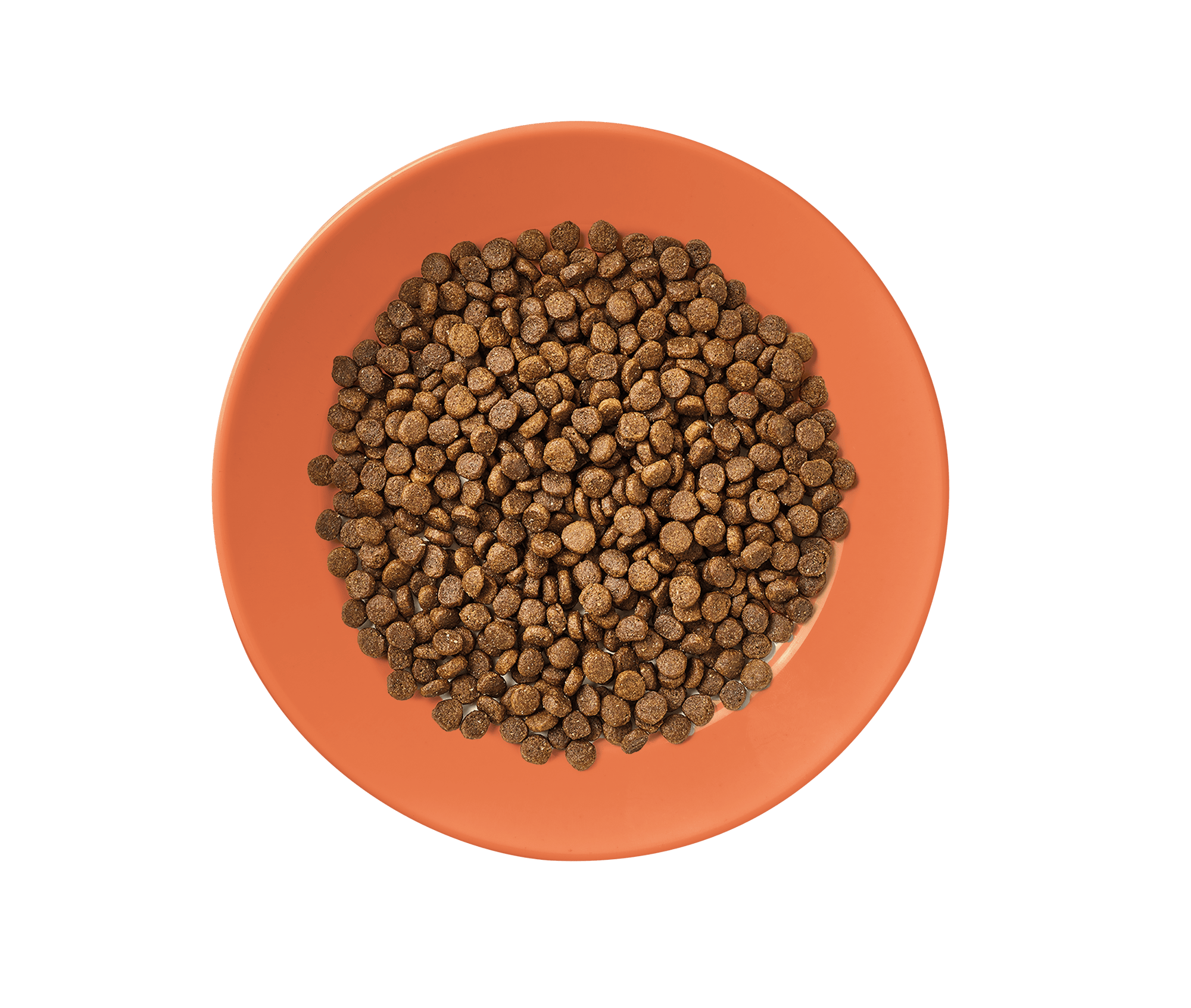 Vitality Complete & Balanced Adult Dry Food Chicken and Salmon Meal ...